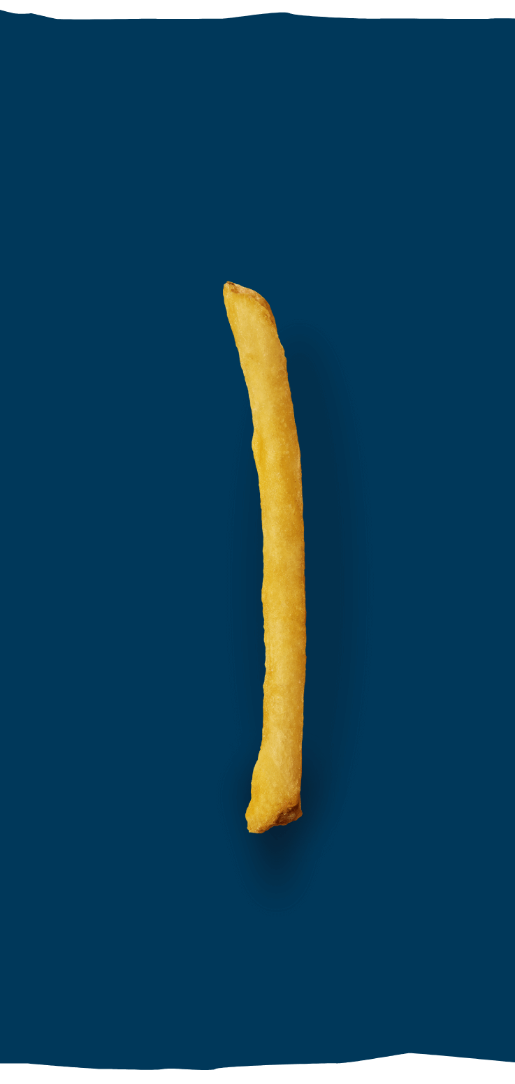 LambWeston | REALLY Crunchy Fries